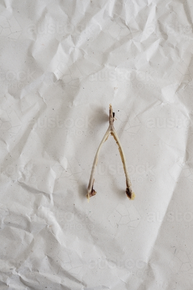 Image of large wishing bone on a white paper background - Austockphoto