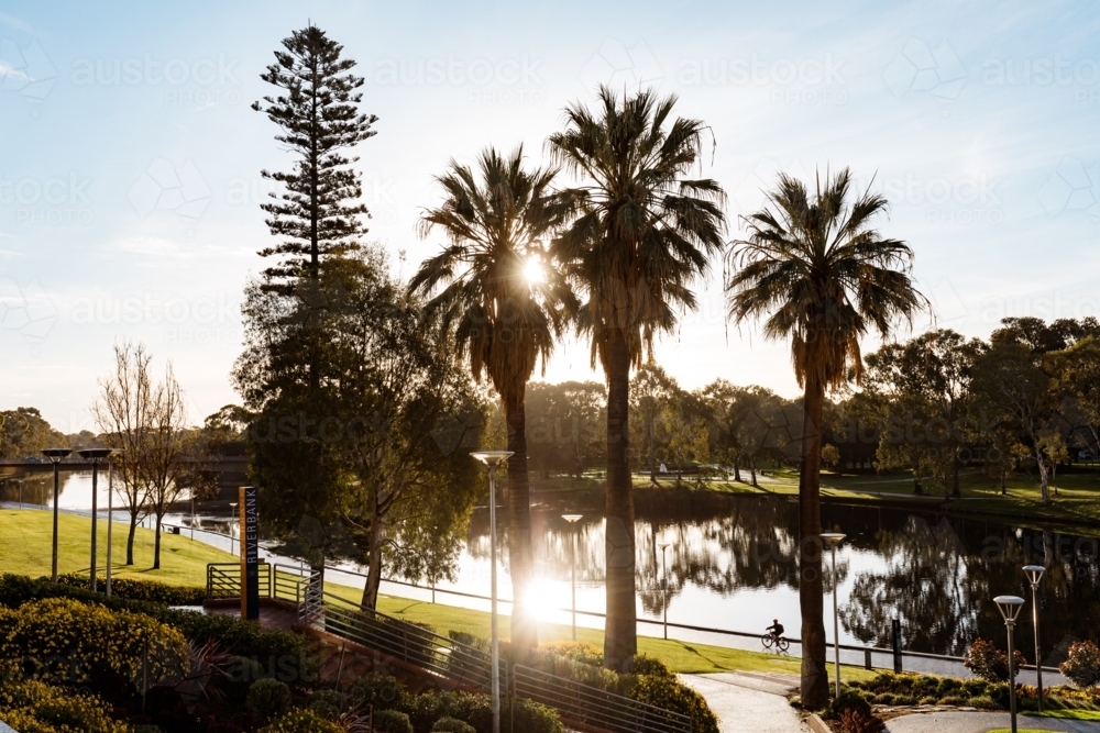 Image of Late afternoon along the River Torrens in Adelaide - Austockphoto