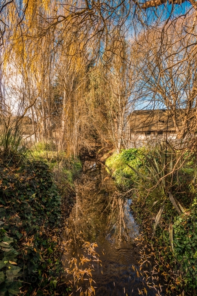 Image of late autumn scene of a rural garden, with stream - Austockphoto
