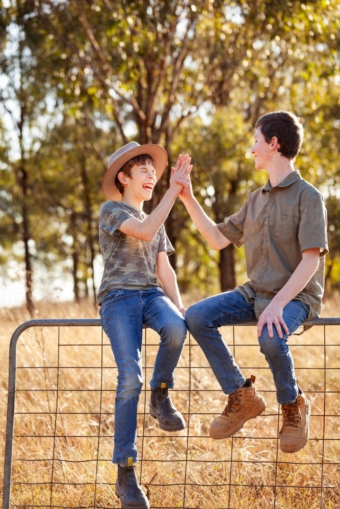 Image of laughing brothers sitting on farm paddock gate giving one ...