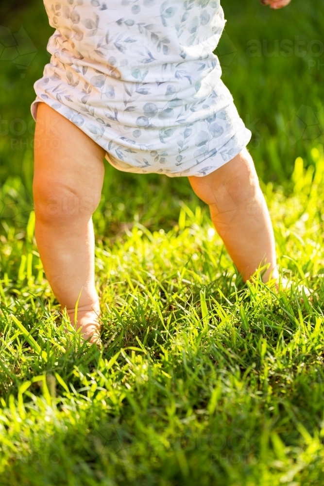 Image of Legs of toddler walking in grass - Austockphoto