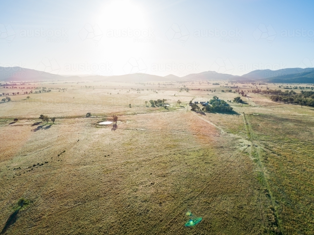 Image of Light flare over dewy grass in Australian paddock in morning ...