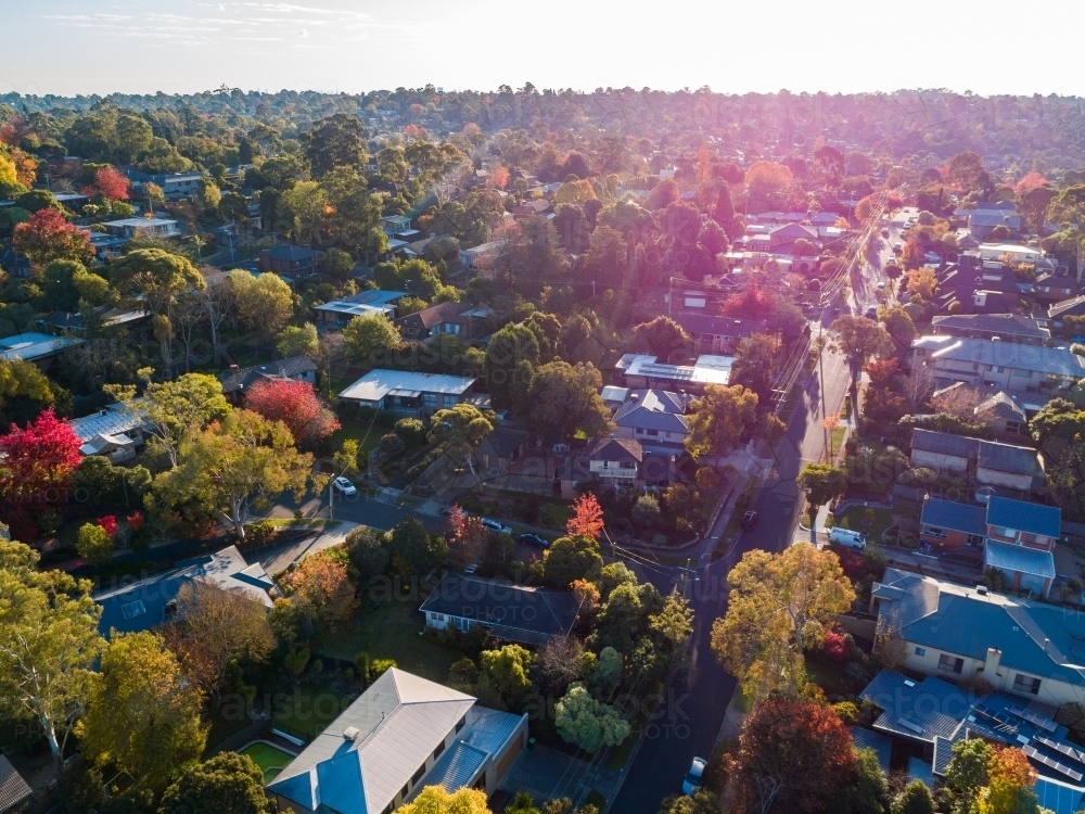 Image of light flare over streets and houses dotted with autumn trees ...