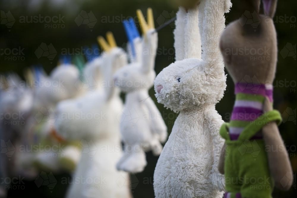 Image of Line of soft toys hanging on a washing line - Austockphoto