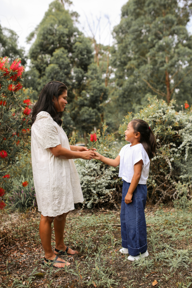 Image of Little Asian girl giving bottlebrush flower to mum - Austockphoto