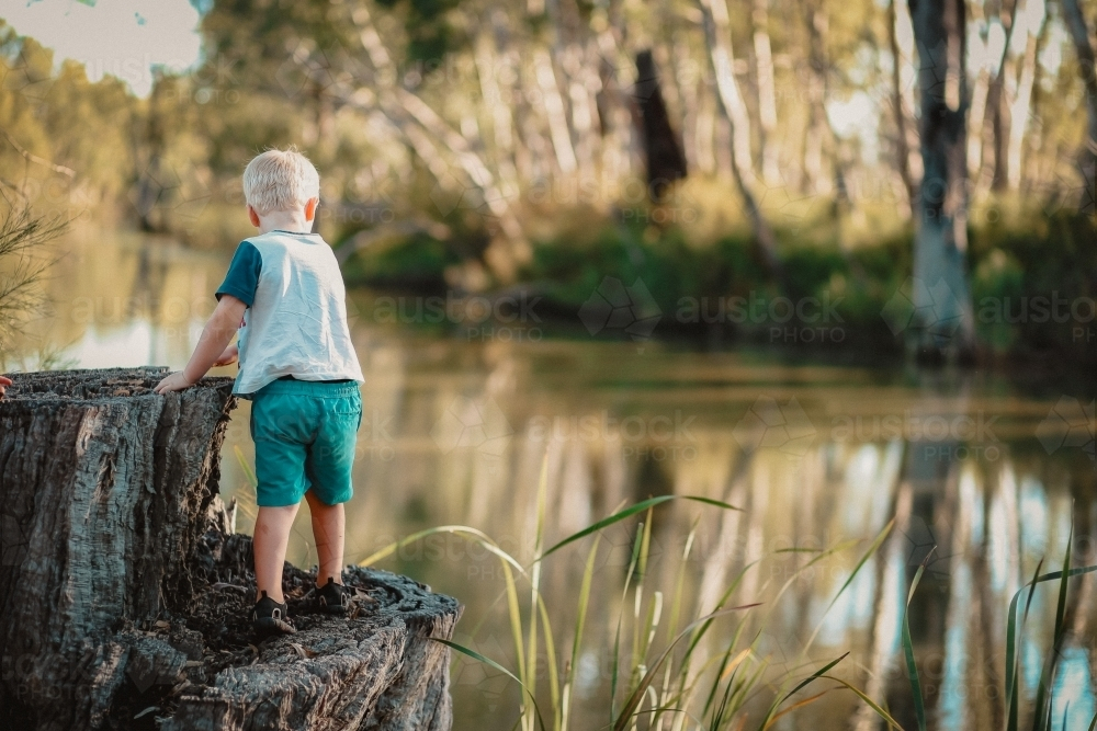 Image of Little boy climbing on tree stump beside creek in the ...