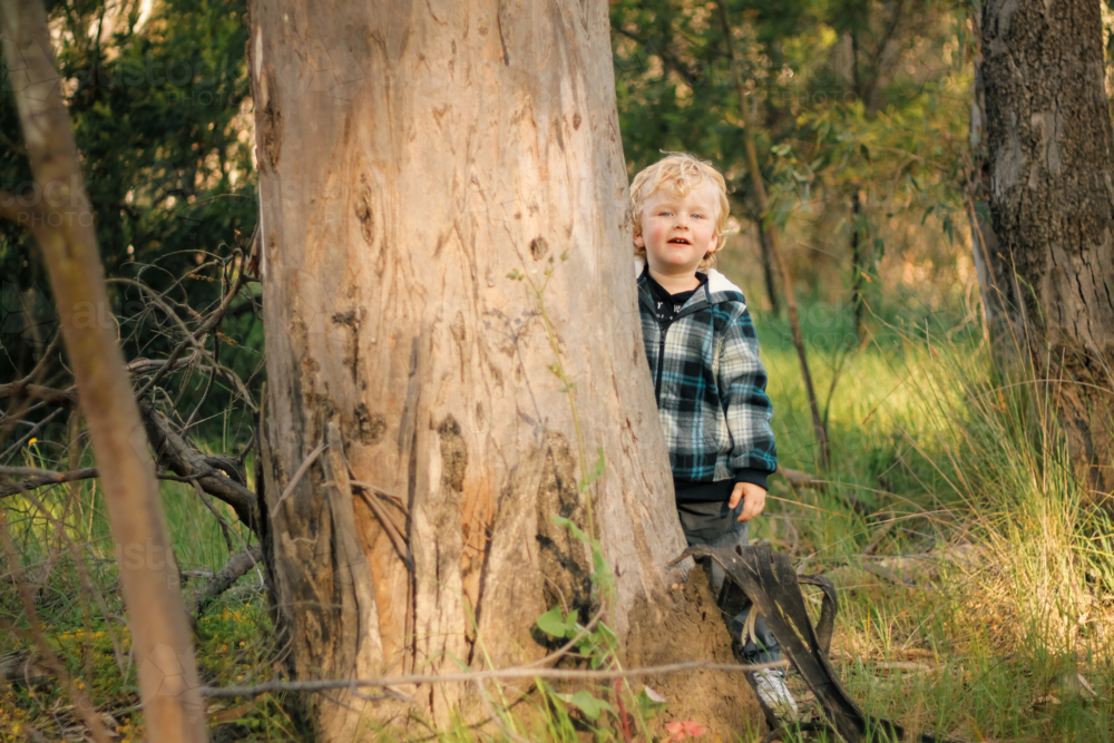 Image of Little boy exploring the Australian bush in golden afternoon ...