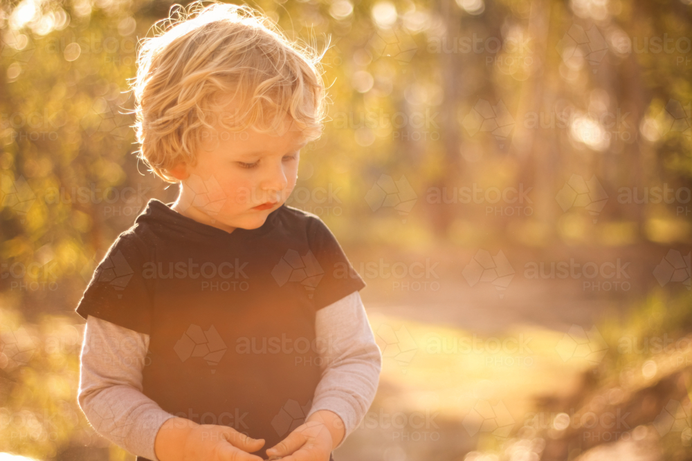 Image of Little boy exploring the Australian bush in golden afternoon ...