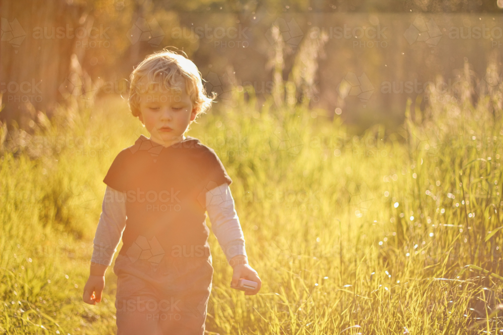 Image of Little boy exploring the Australian bush in golden afternoon ...