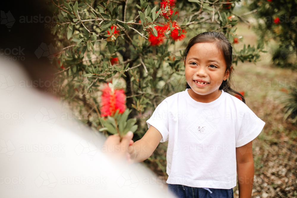 Image of Little girl giving bottlebrush flower to mum - Austockphoto