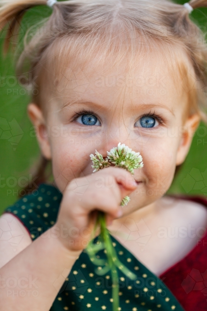 Image of Little girl holding bunch of clover flowers - Austockphoto