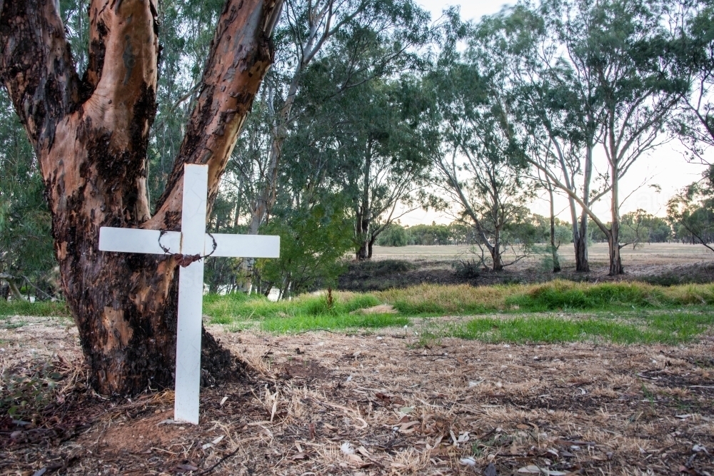 Image of Lone wooden cross beside tree. - Austockphoto