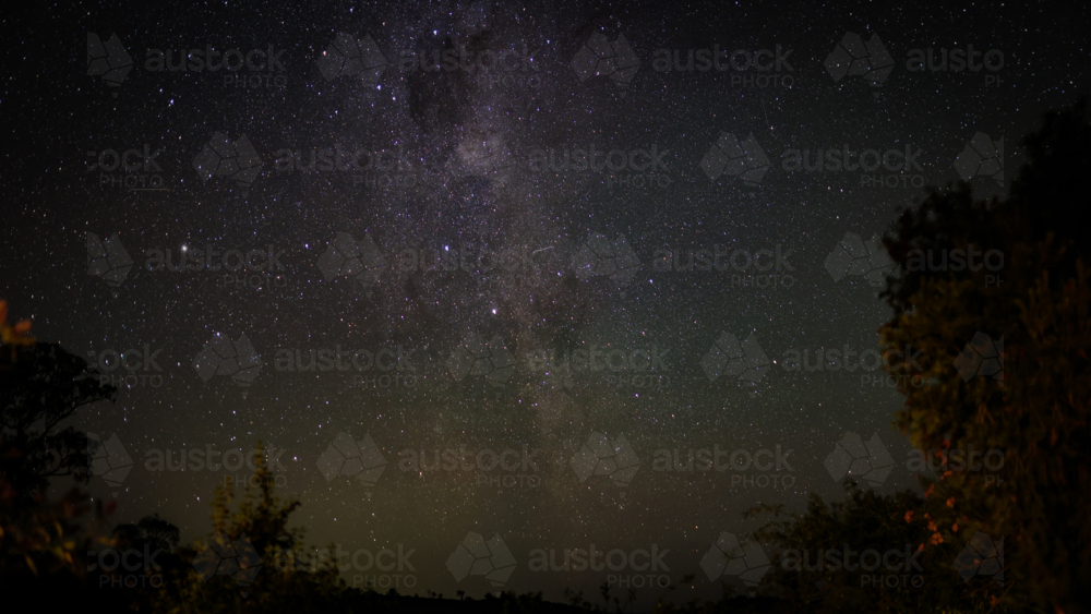 Image of Long exposure shot of stars in the night sky with trees in the ...