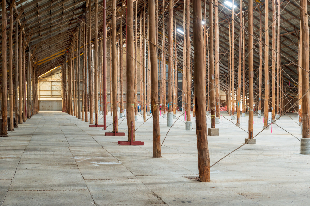 Image of Long rows of timber posts inside a vast open warehouse ...