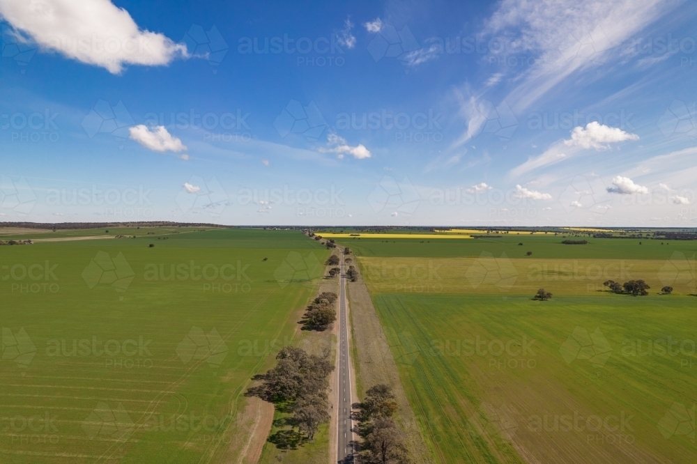 Image of Long straight road though farm fields - Austockphoto