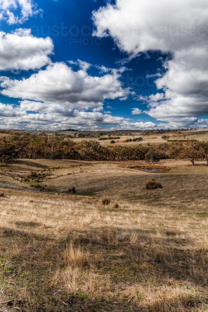 Image of Looking across dry summer paddock landscape - Austockphoto