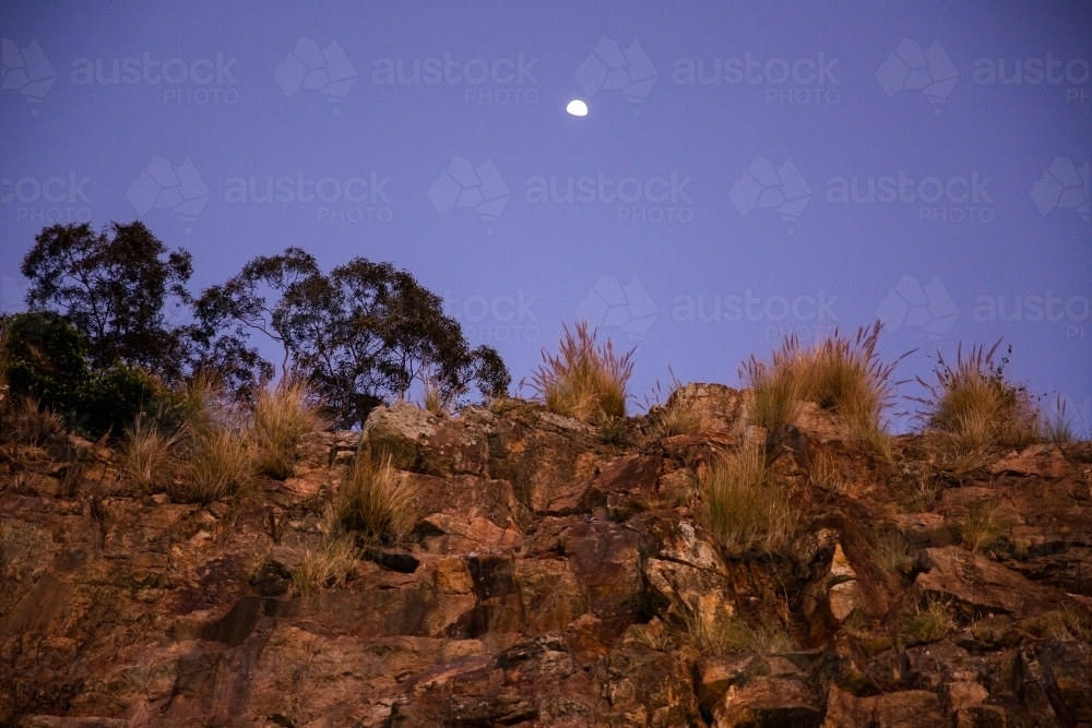Image of looking at the top of the kangaroo point cliffs at night ...