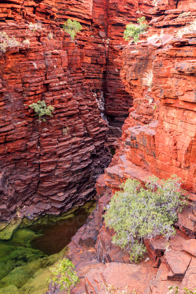 Image of Looking down into Joffre Gorge in Karijini NP. - Austockphoto