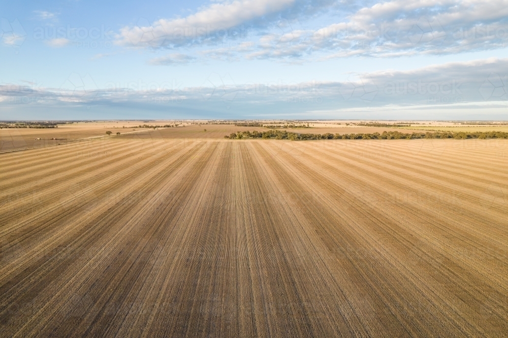 Image of Looking down on fields of new crops in a new season on an ...