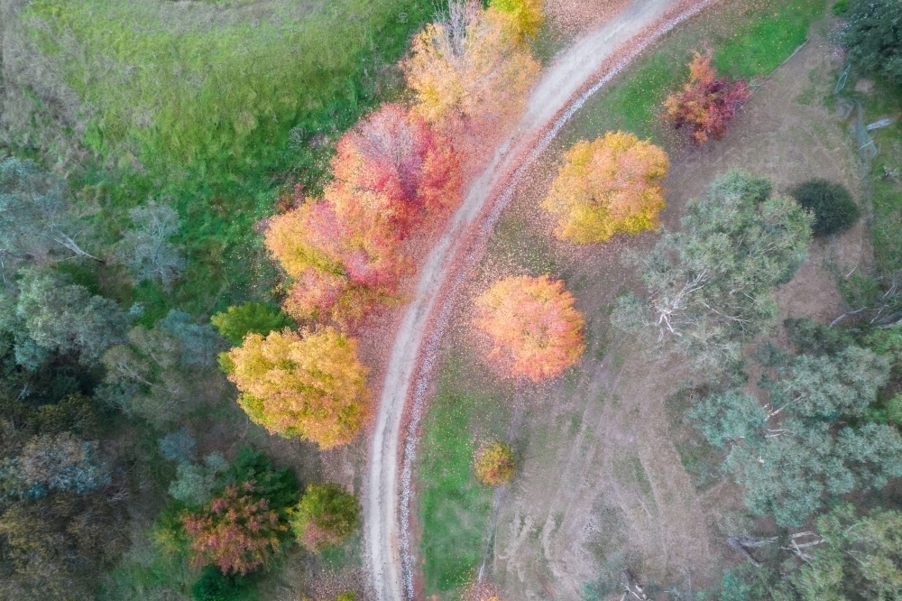 Image of Looking down over autumn trees with coloured leaves along a ...