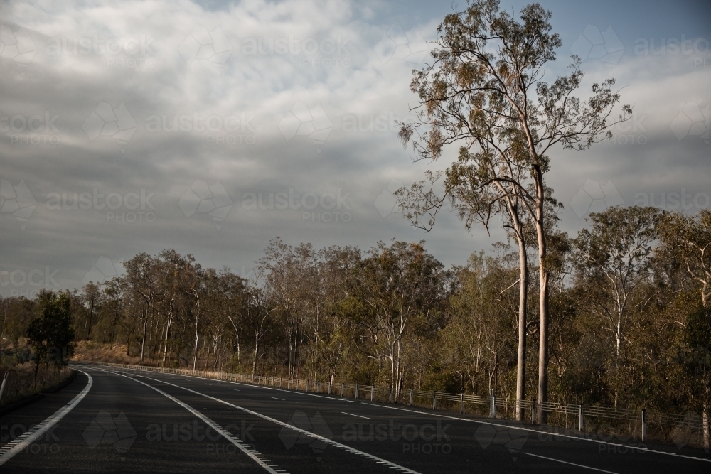 Image of looking up the Bruce Highway with gum trees in the afternoon ...