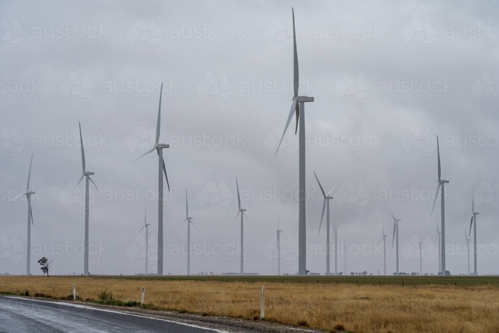 Image of Low angled view of a cluster of wind turbines on farmland ...