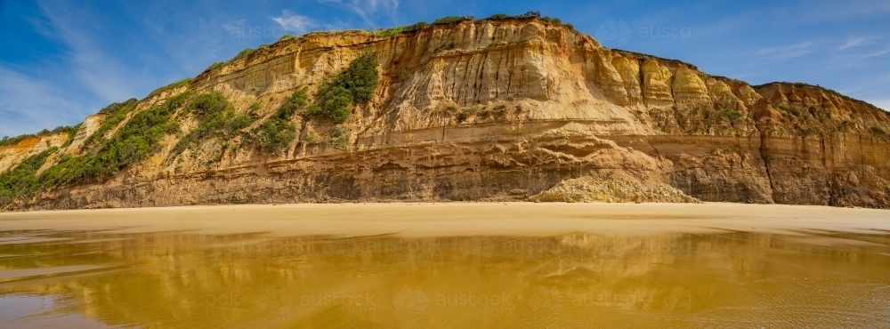 Image of Low angled view of coastal sea cliffs reflected in wet sand on ...