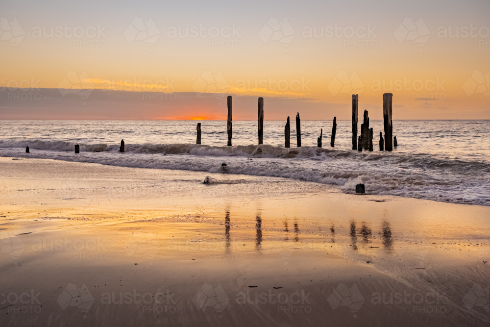 Image of Low angled view of derelict wooden pylons reflected on a wet ...