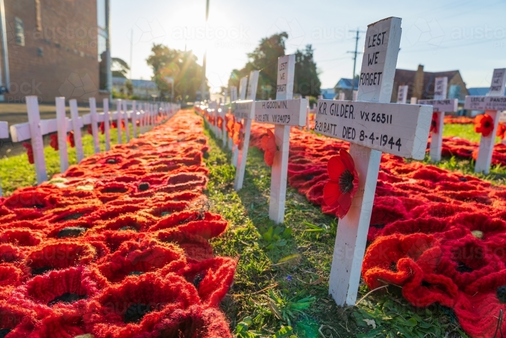 Image of Low angled view of rows of crocheted red poppies and white ...