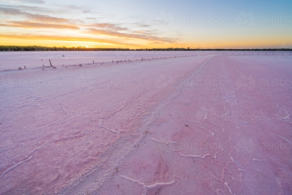 Image of Low wide angled view of encrusted details of a pink salt lake ...