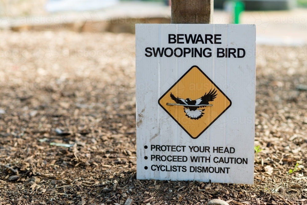 Image of magpie warning sign - Austockphoto