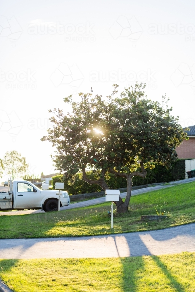 Image of Mailbox and driveways in front garden of homes backlit by ...