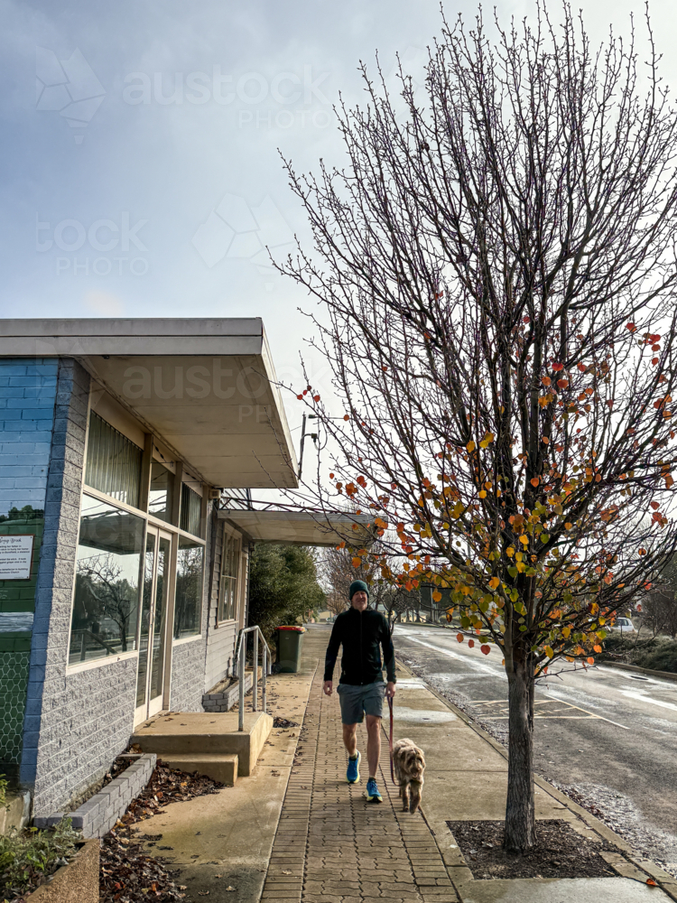 Image of Male adult walking with dog along path in country streetscape ...