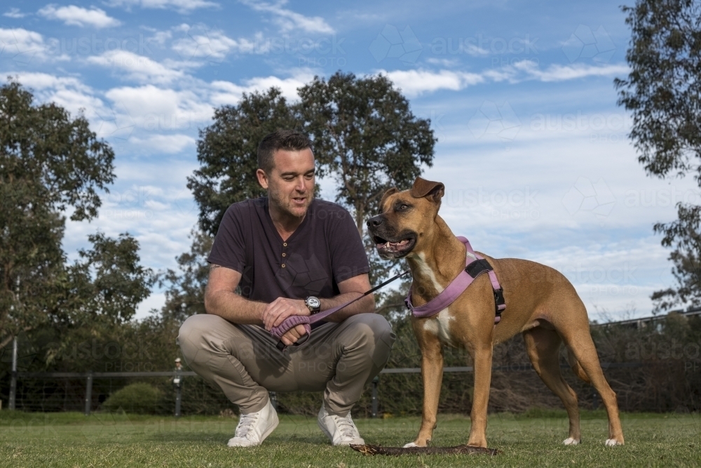 Image of Man and Crossbreed Dog Squatting in Park - Austockphoto