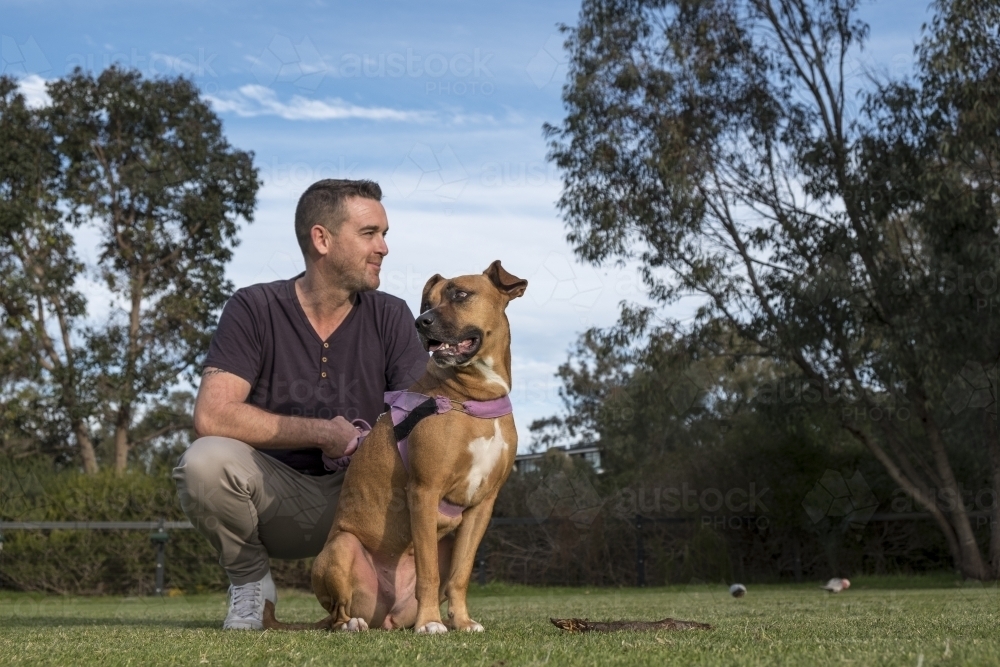 Image of Man and Crossbreed Dog Squatting in Park - Austockphoto