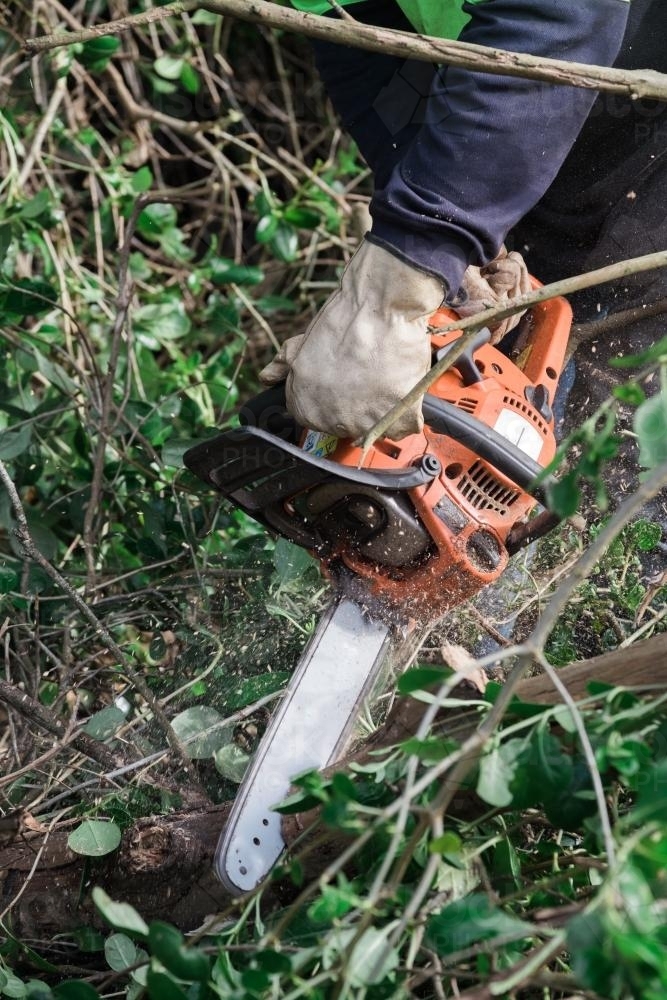 Image of Man holding small chainsaw - Austockphoto