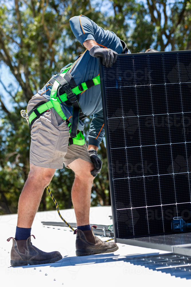 Image of Man in safety equipment holding solar panel with gum tree ...