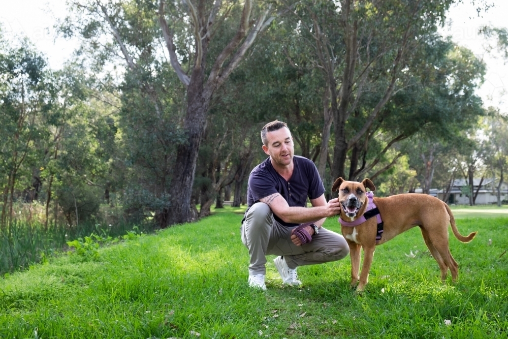 Image of Man squatting next to Crossbreed Dog in park - Austockphoto