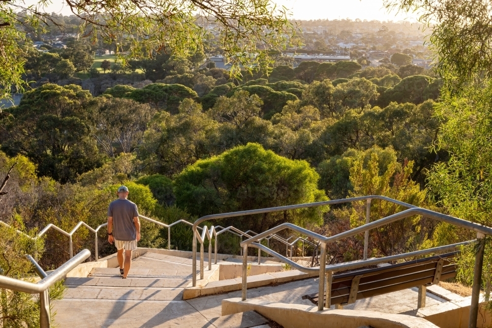 Image of Man walking down stairs in parkland in early morning light ...