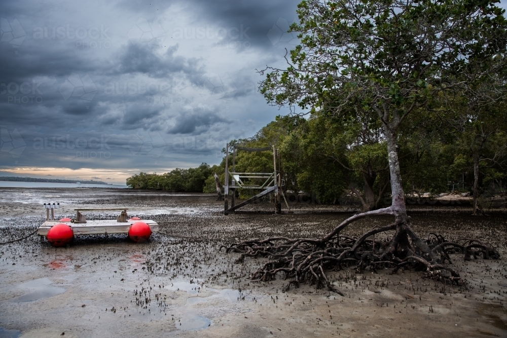 Image of mangrove and pontoon at low tide on a stormy day - Austockphoto