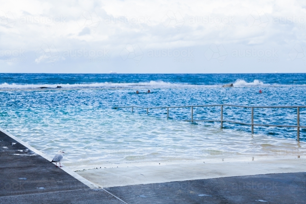 Image of Merewether ocean pool ramp with seagull - Austockphoto