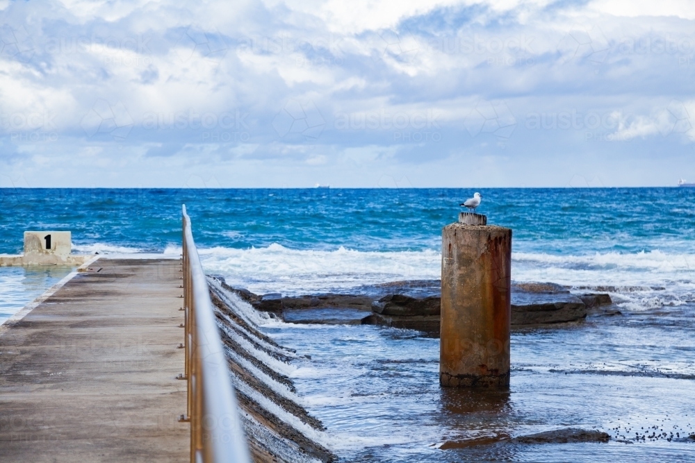 Image of Merewether ocean pool with seagull and overflow and railing ...