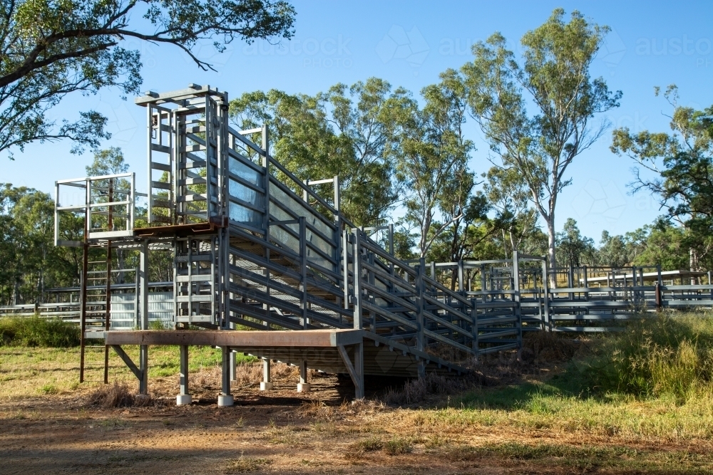 Image of Metal loading ramp at cattle yards. - Austockphoto