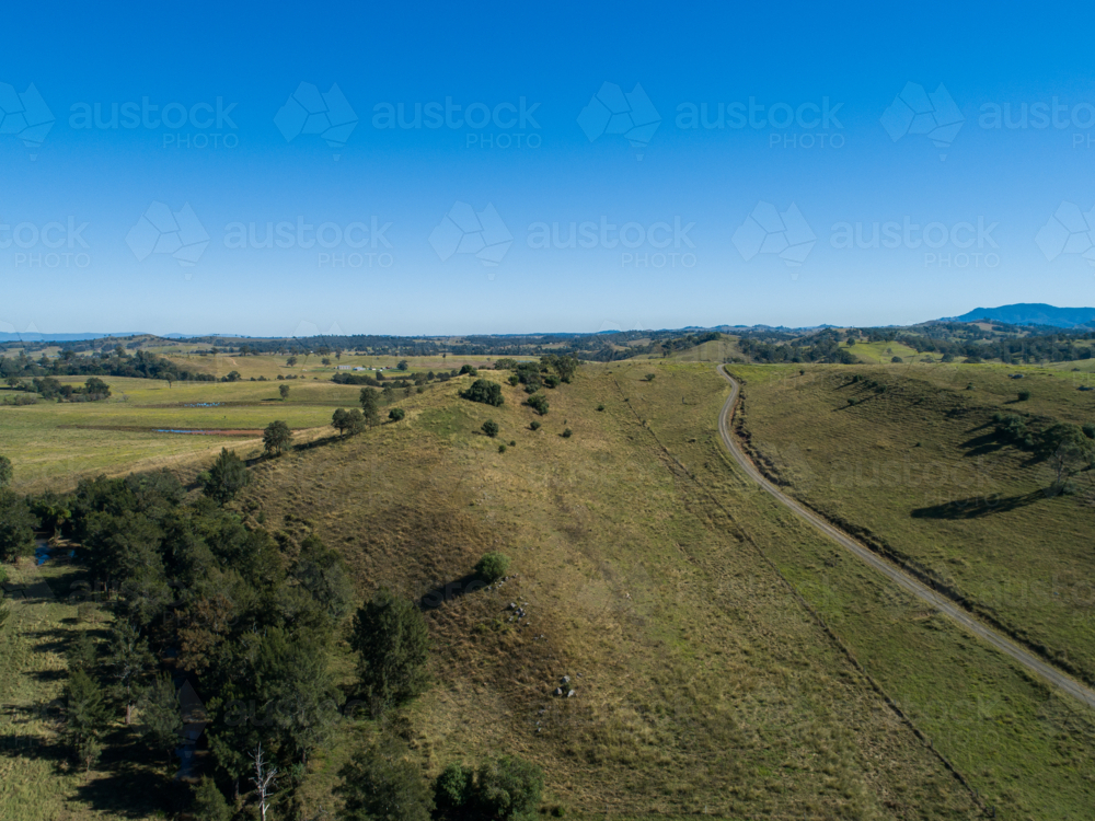 Image of midday landscape with clear blue sky in Hunter Valley ...