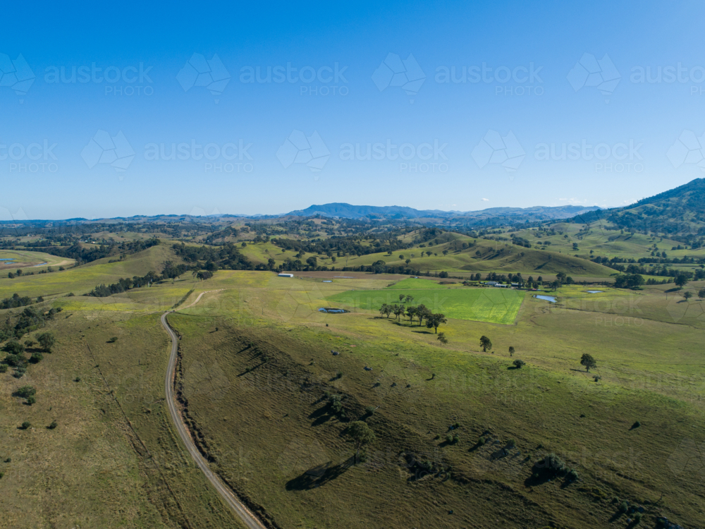 Image of midday landscape with clear blue sky in Hunter Valley ...