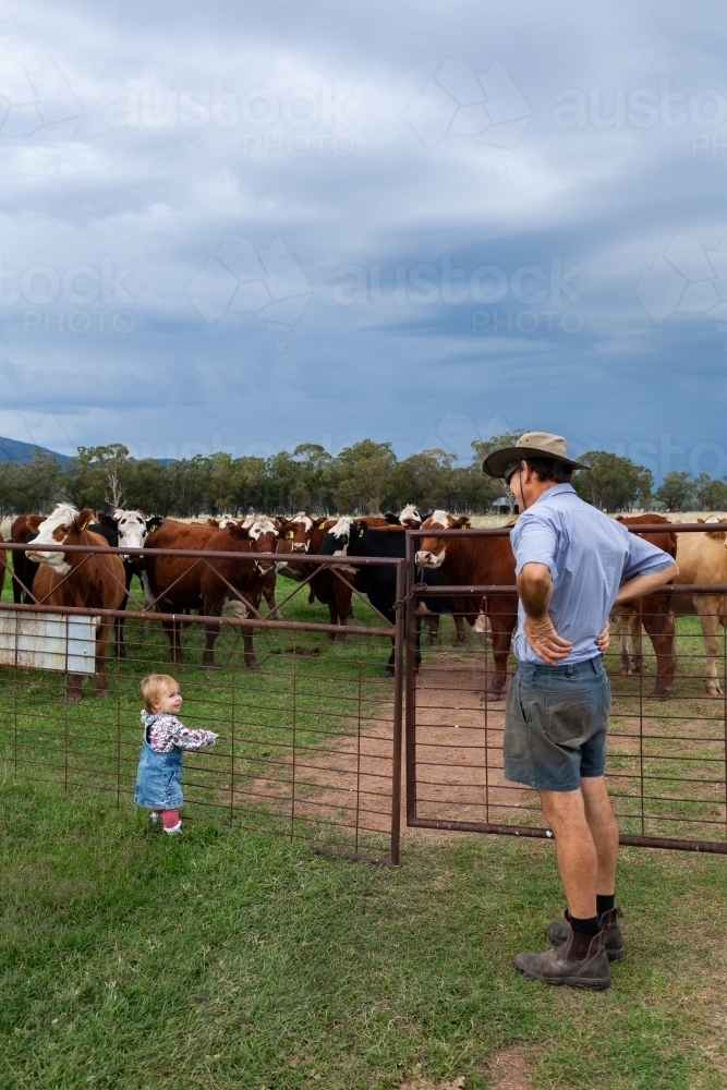 Image of Middle aged farmer with toddler child watching cattle in ...