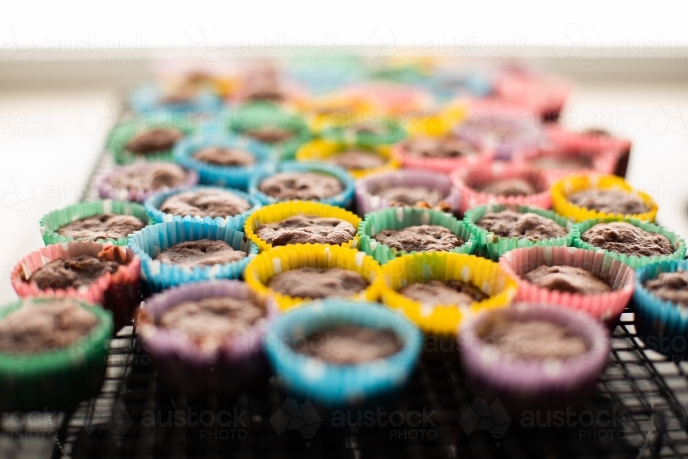 Image of mini cupcakes cooling after baking - Austockphoto