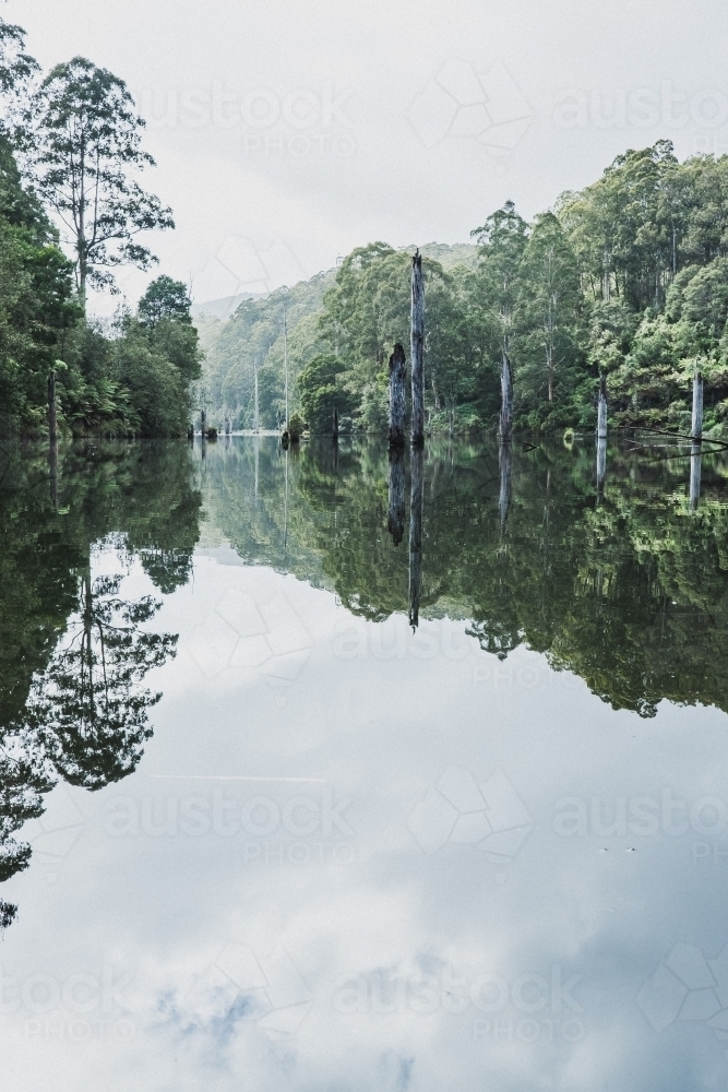 Image of Morning reflections on the lake. - Austockphoto
