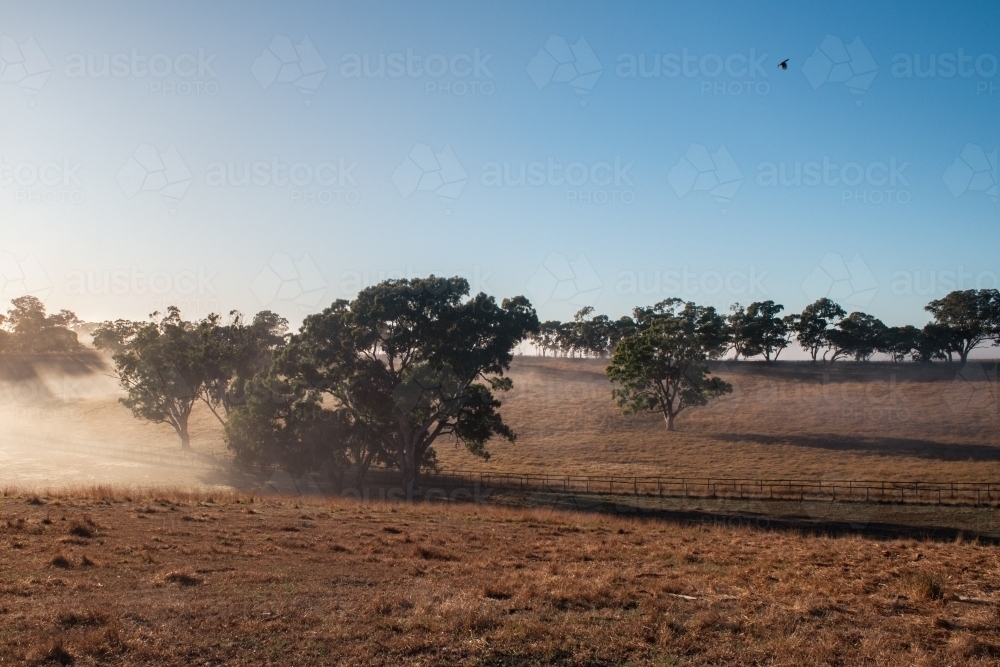 Image of morning rural farm scene - Austockphoto