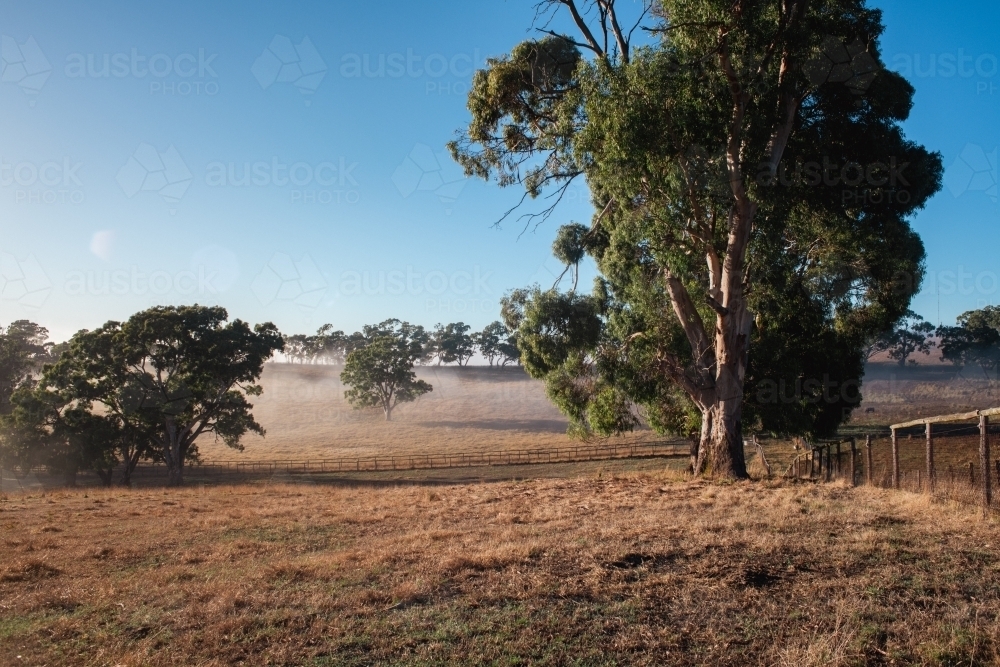 Image of morning rural farm scene - Austockphoto